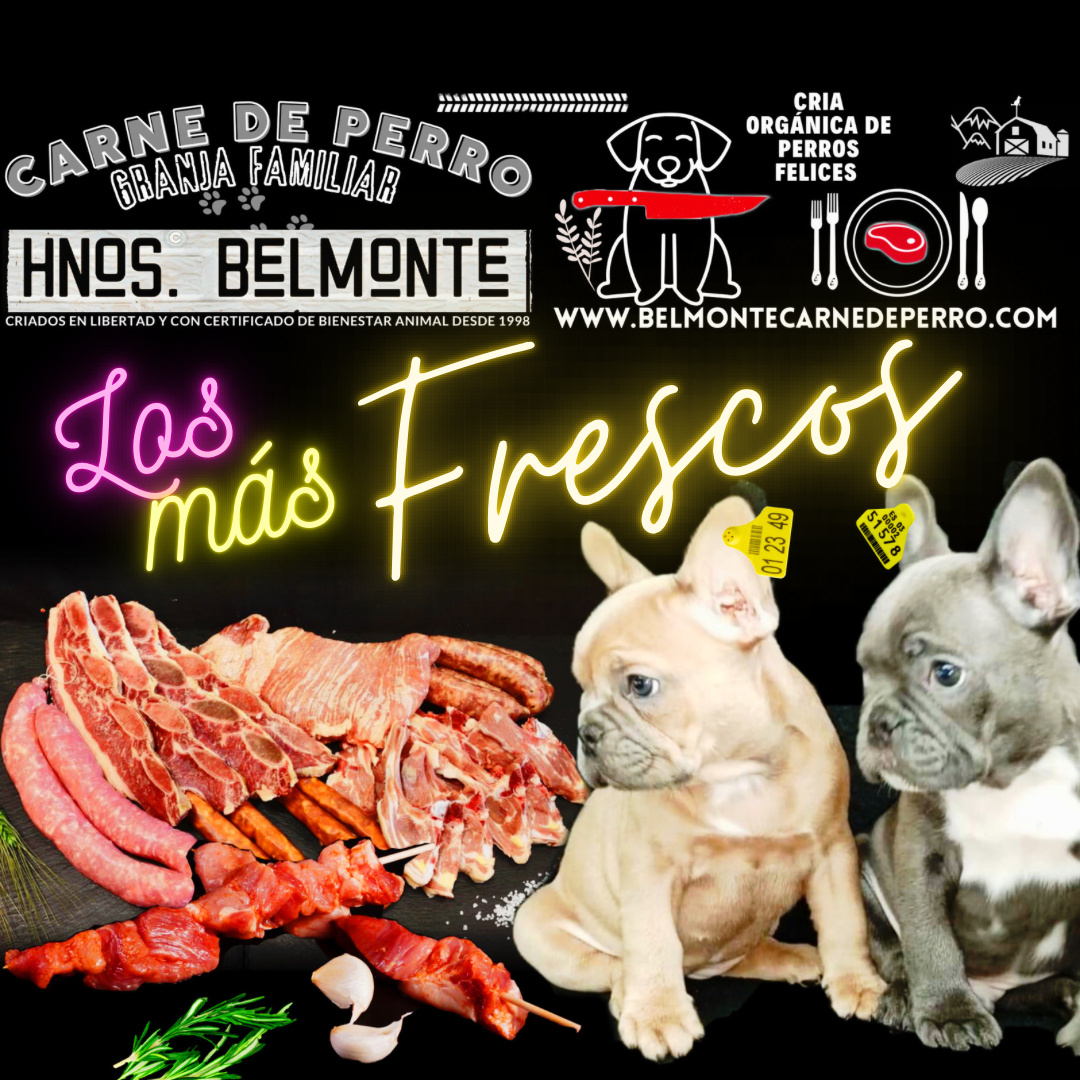 Los más frescos - Granja Belmonte