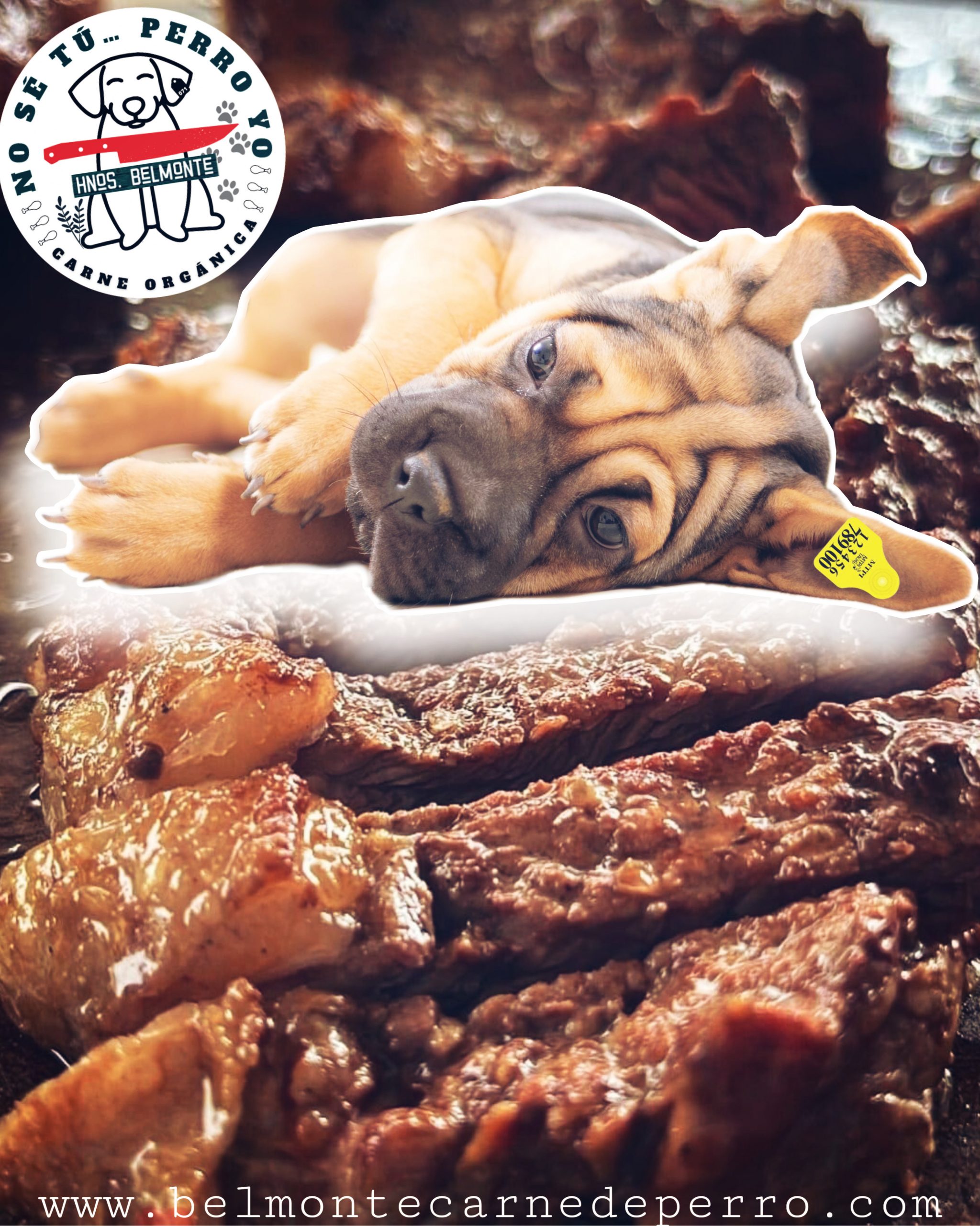 Grasita saludable - Granja Belmonte